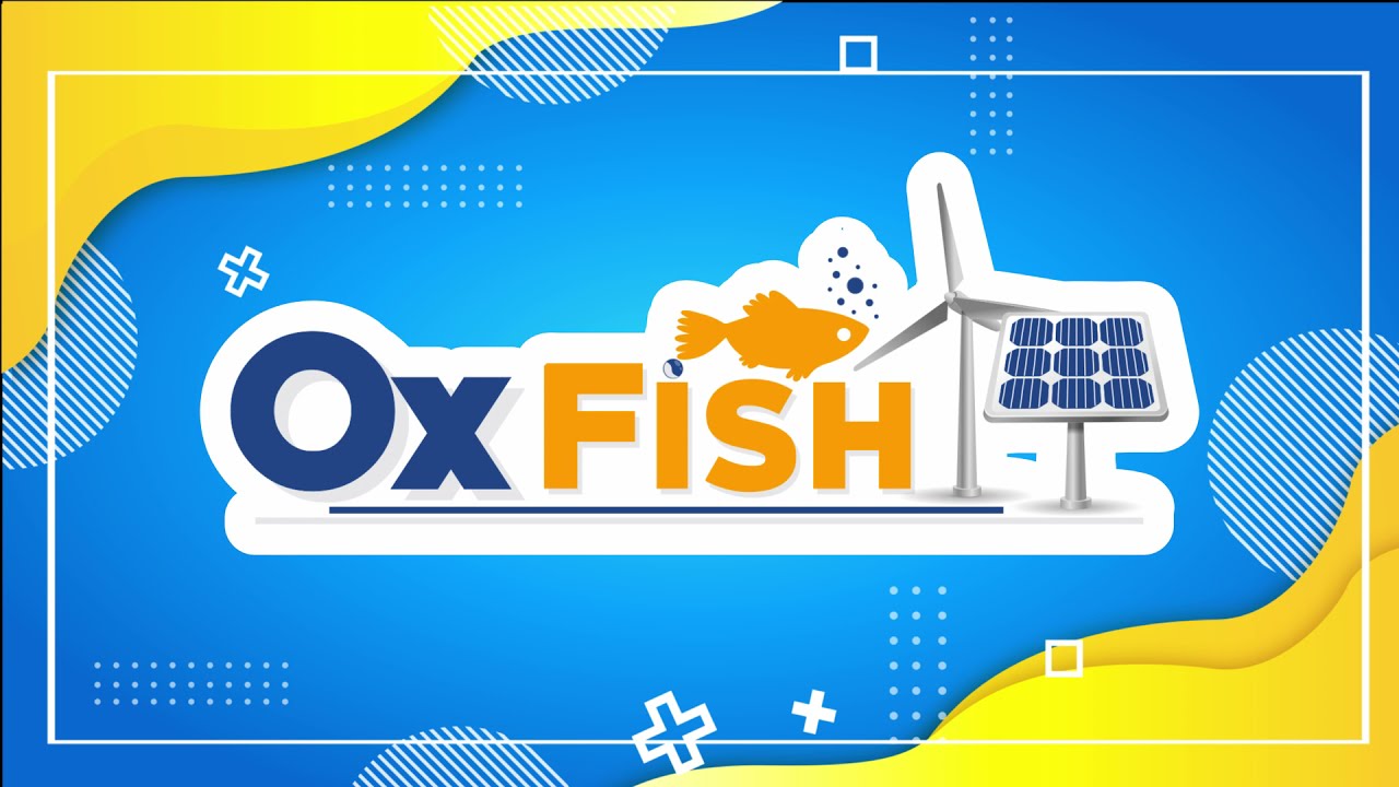 Proyecto Oxfish - YouTube