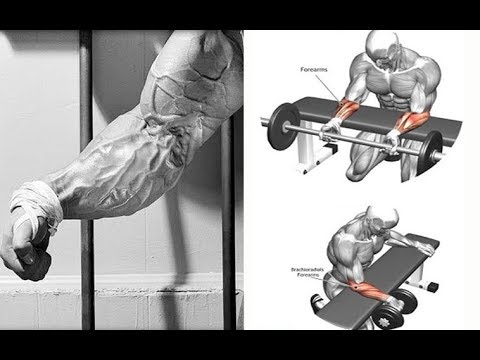 3 BEST EXS FOREARMS PROGRAM / PROGRAMME MUSCULATION AVANT BRAS - YouTube
