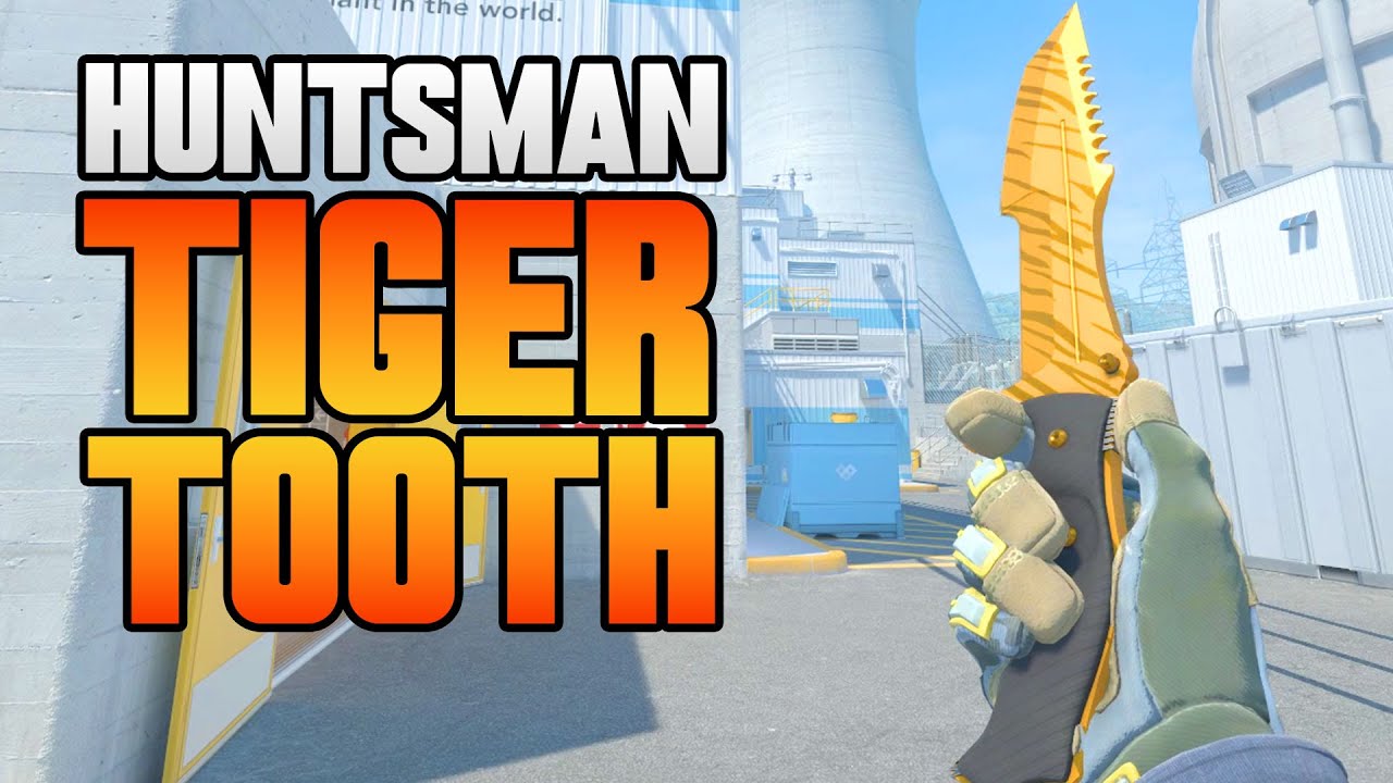CS2 Huntsman Tiger Tooth (FACTORY NEW) | CS2 Knife Gameplay - YouTube