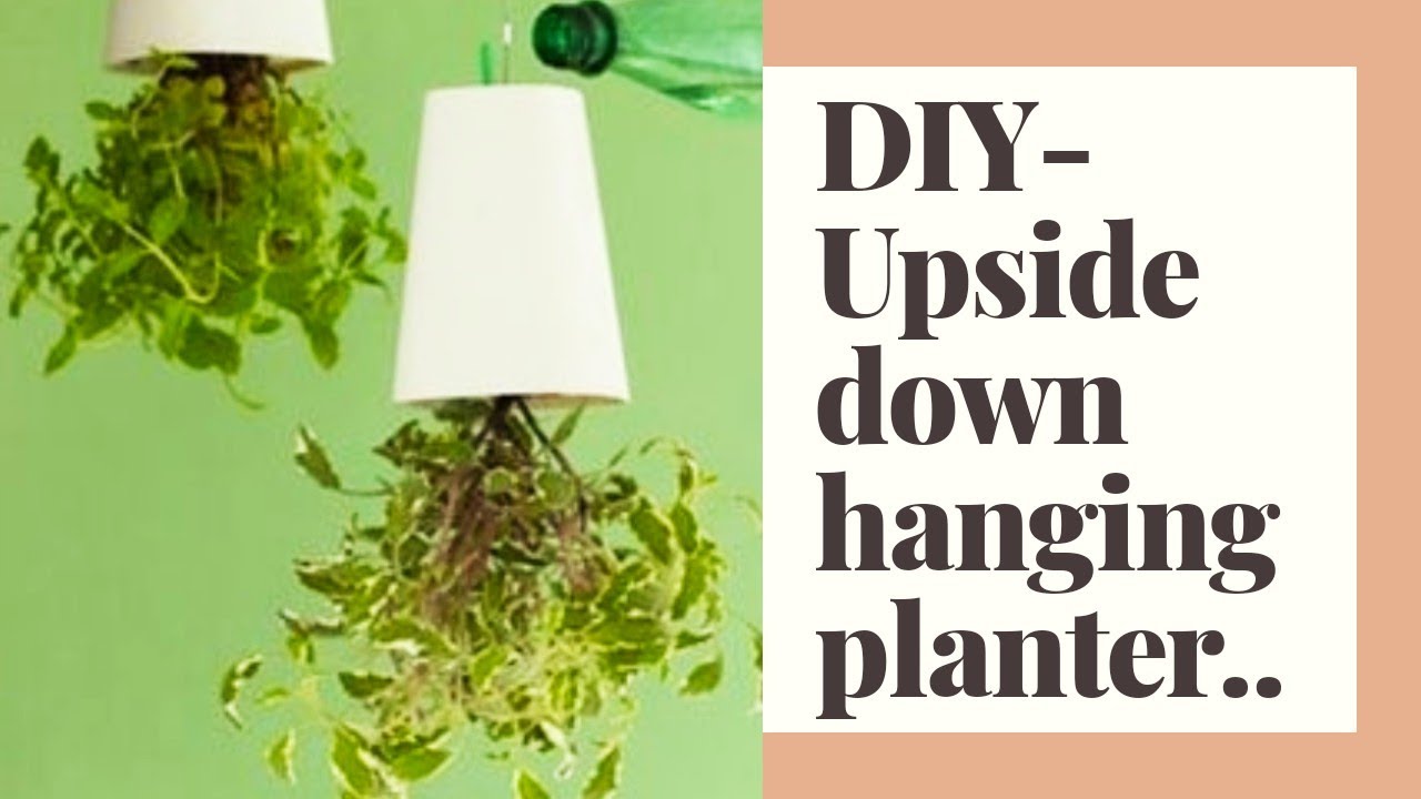 DIY-Upside down hanging planter/hanging plant ideas/Inverted gardenSalu ...