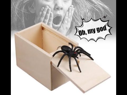 Scary Spider Box! - YouTube