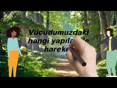 6. Sınıf destek ve hareket sistemi
