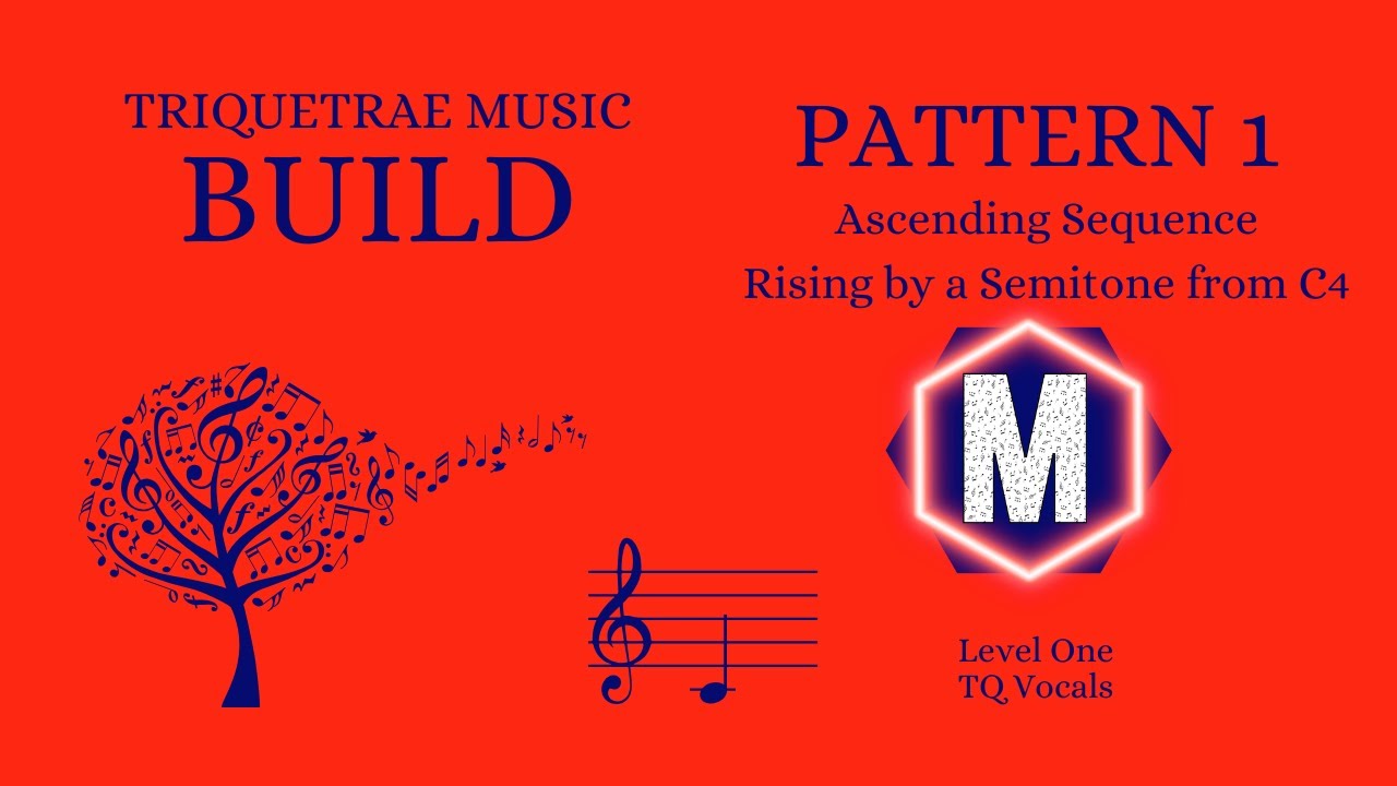 Five Note Pitch Awareness from C4. Level 1 Build. TQ Vocals - YouTube