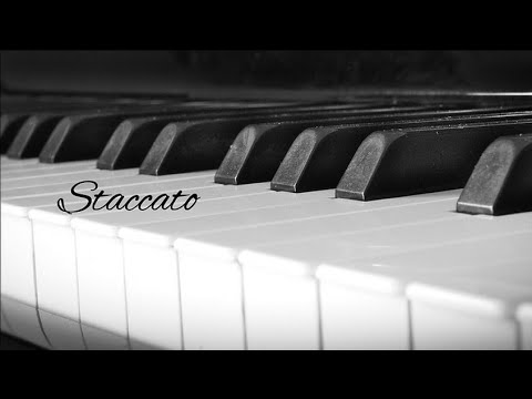 Staccato (Official Trailer) - YouTube