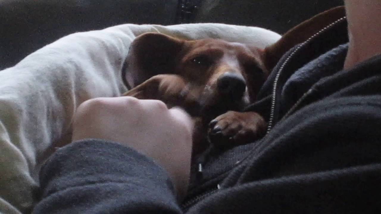 WIENERS GONE ...WONKY! - YouTube