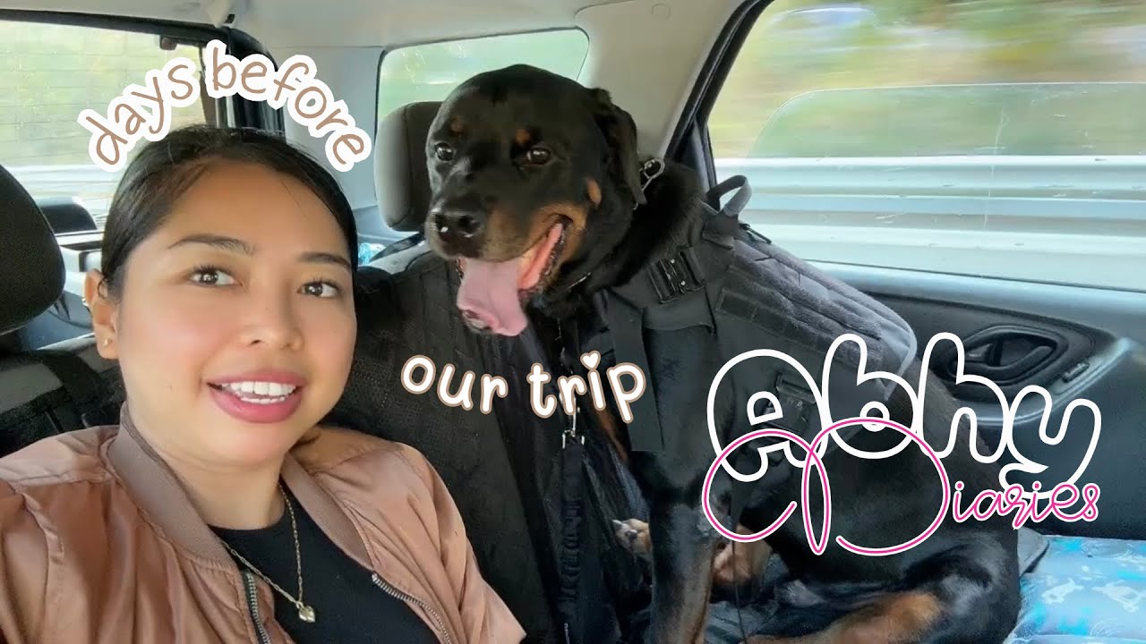 Abhy Diaries • Hubby's surprise gift • Shopping • Amazon, Zara, H&M ...