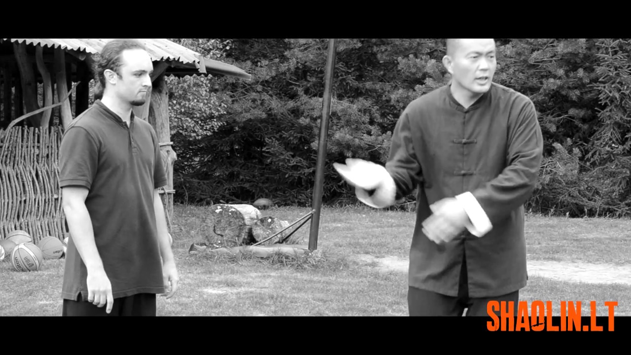 Shaolin Quan 少林拳: Wu Hua Zuo Shan 五花坐山 application - YouTube