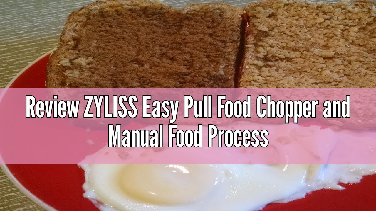 Review ZYLISS Easy Pull Food Chopper and Manual Food Processor ...