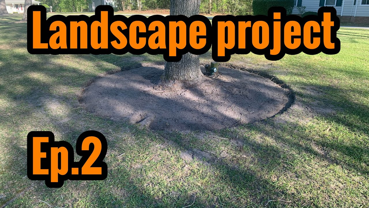 How to create a tree ring for mulch | RAW FOOTAGE - YouTube