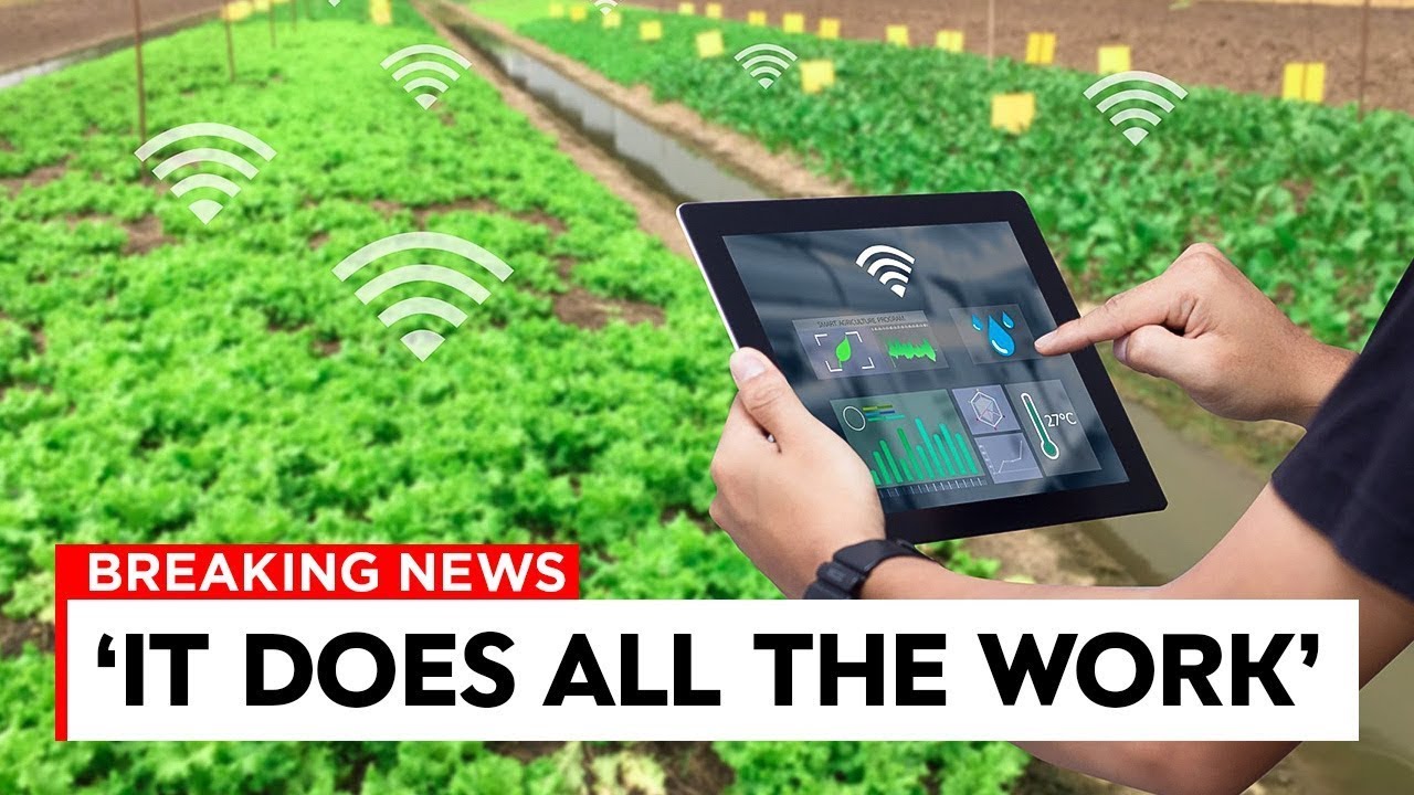 Farming For DUMMIES.. Here's What You NEED To Know - YouTube