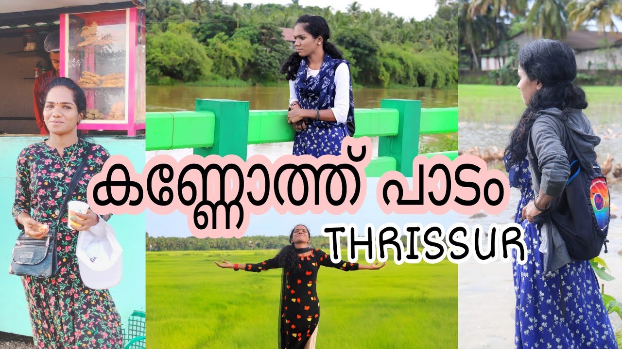 Kannoth Padam | Beautiful Kole Fields in Thrissur | Venkidangu ...