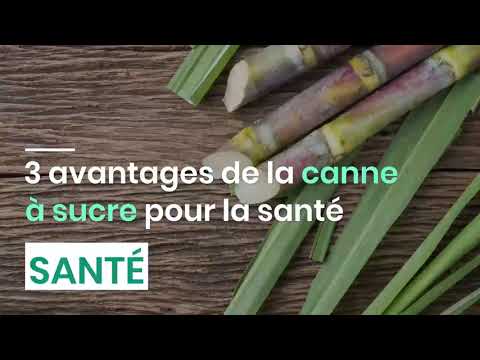 3 avantages de la canne à sucre pour la santé