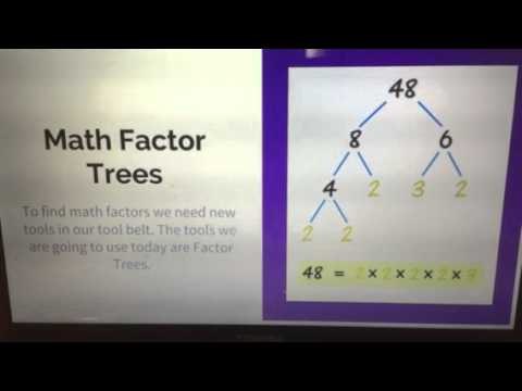 Fourth Grade Factor Tree - YouTube