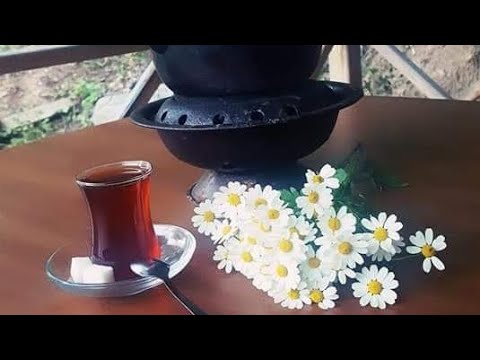 ÇAY /DOĞA /HUZUR /TEMİZ HAVA/=MUTLULUK
