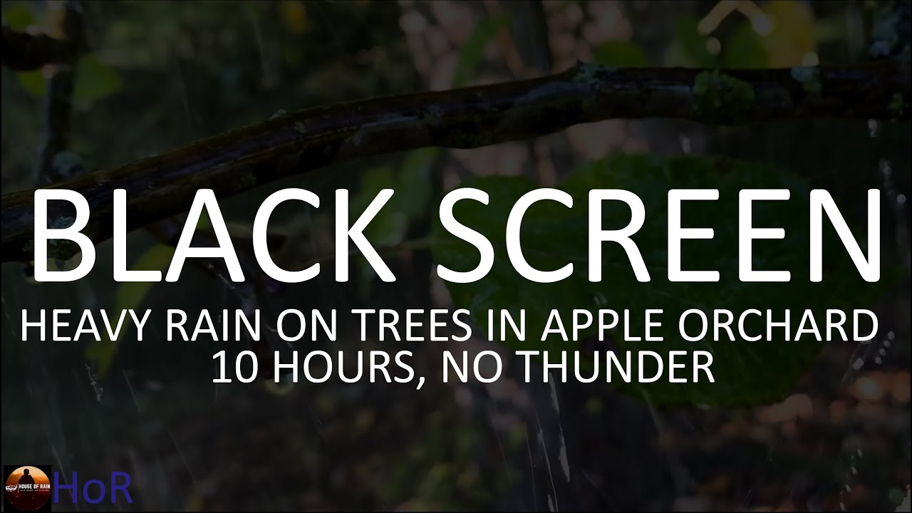 Heavy Rain on Trees in Apple Orchard, Relaxing Sounds for Deep Sleep by ...
