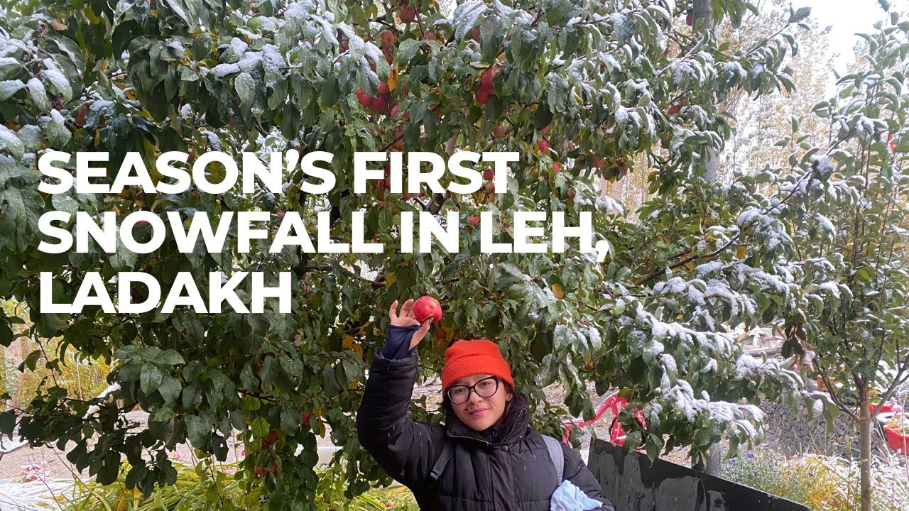 Celebrating Season’s first Snowfall in Leh, Ladakh - YouTube