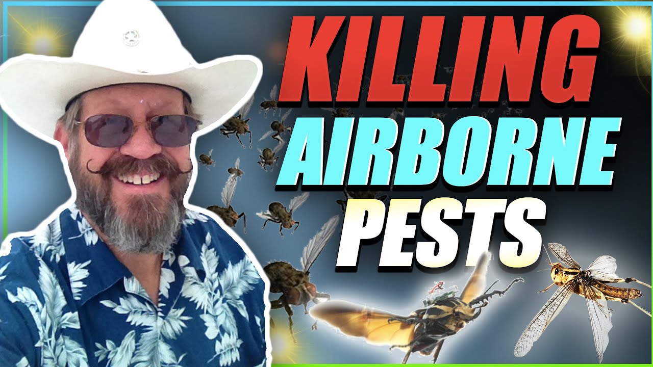 KILLING AIRBORNE INSECT PESTS indoors and out, FAST and EFFICIENTLY ...