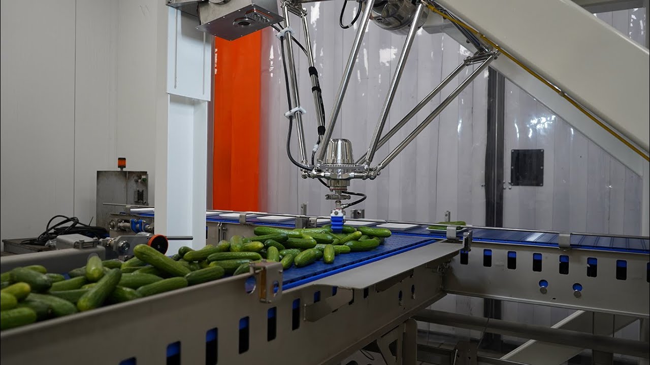 High-Speed Food Production - YouTube