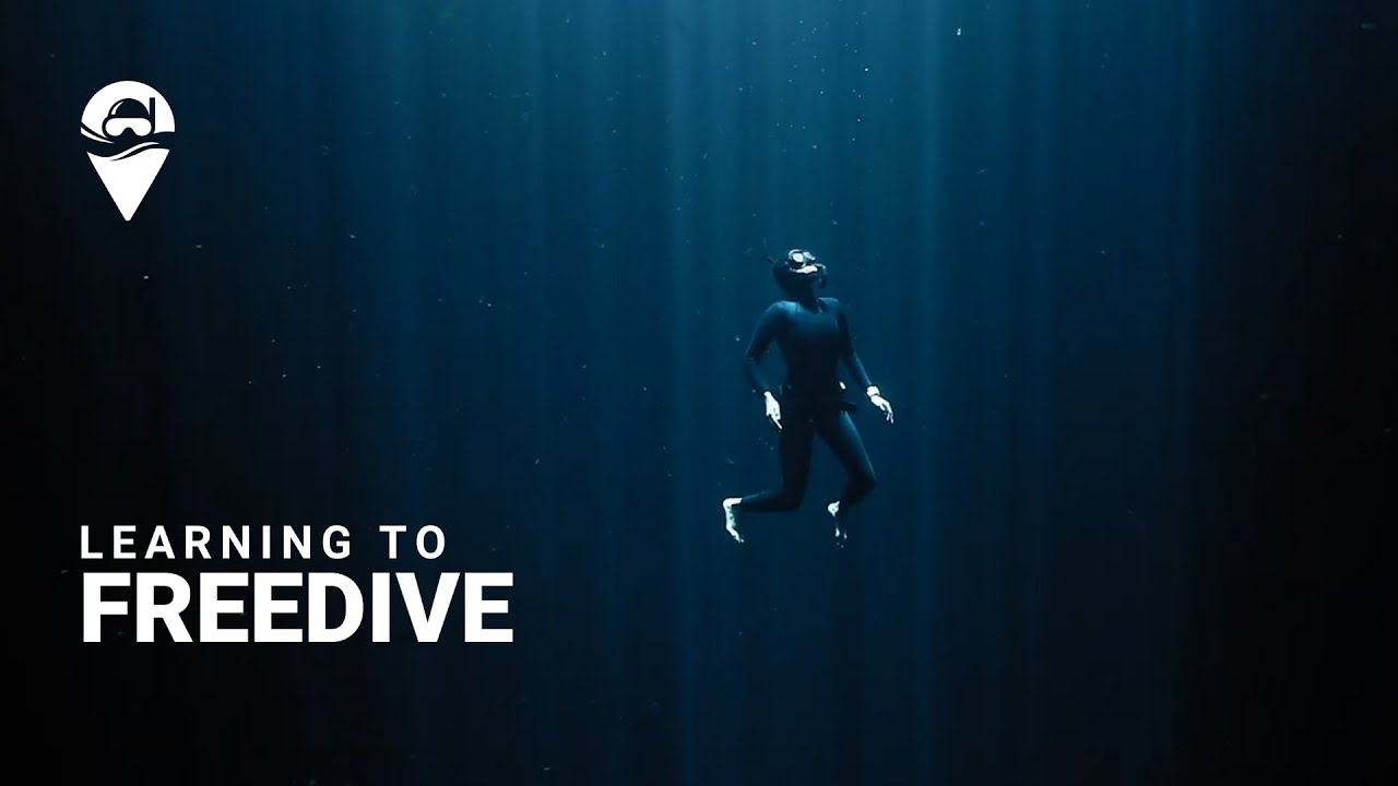 Learning to Freedive 🤿 #freedivinglife - YouTube