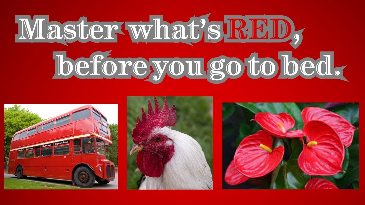 GUESS ALL THINGS RED in 5 seconds | ONE COLOR Challenge | 51 RED ...