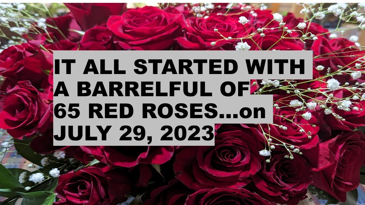 IT ALL STARTED WITH A BARRELFUL OF 65 RED ROSES ON JULY 29, 2023 - YouTube