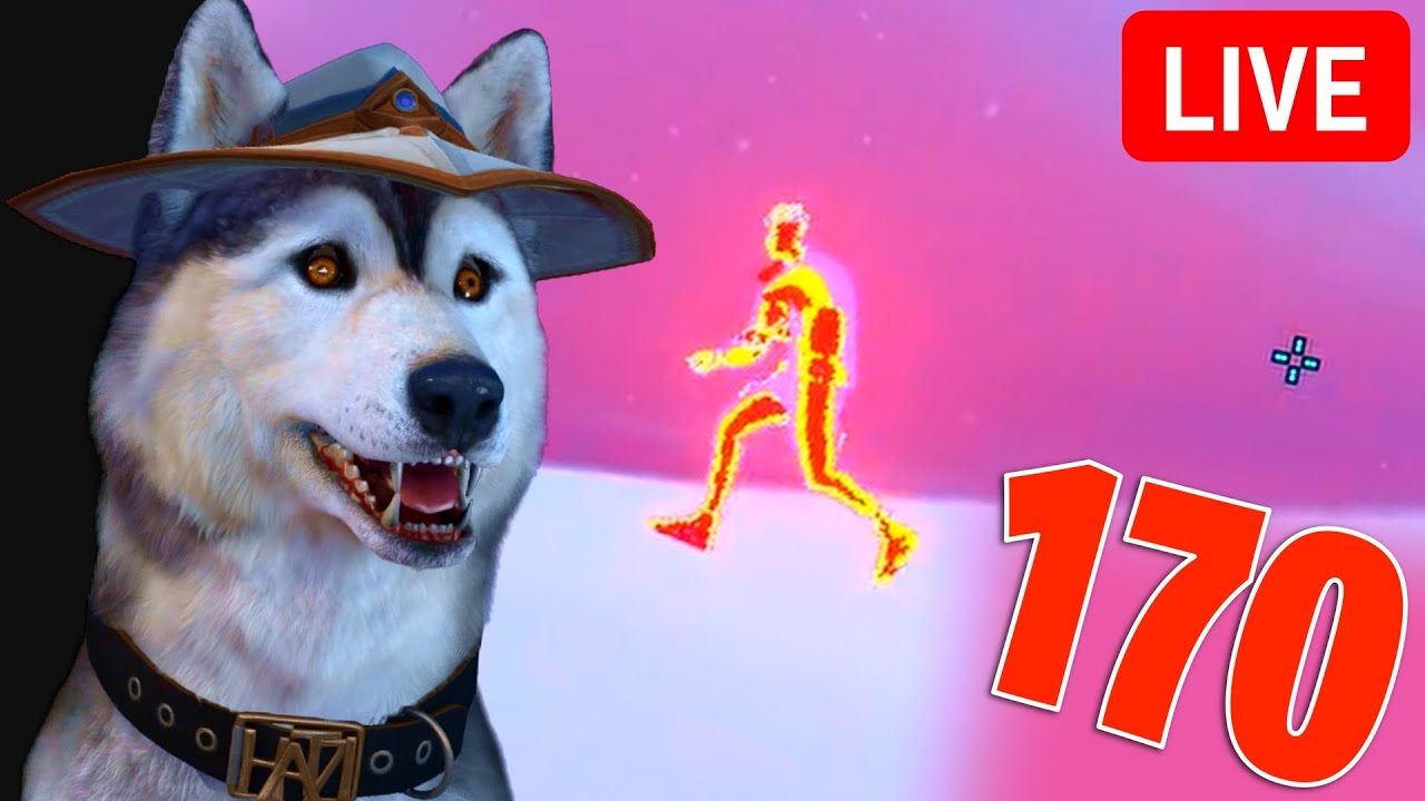 INSPIRING A GENERATION, SLEEPY HUSKY GLOBAL TAKEOVER - VALORANT - YouTube