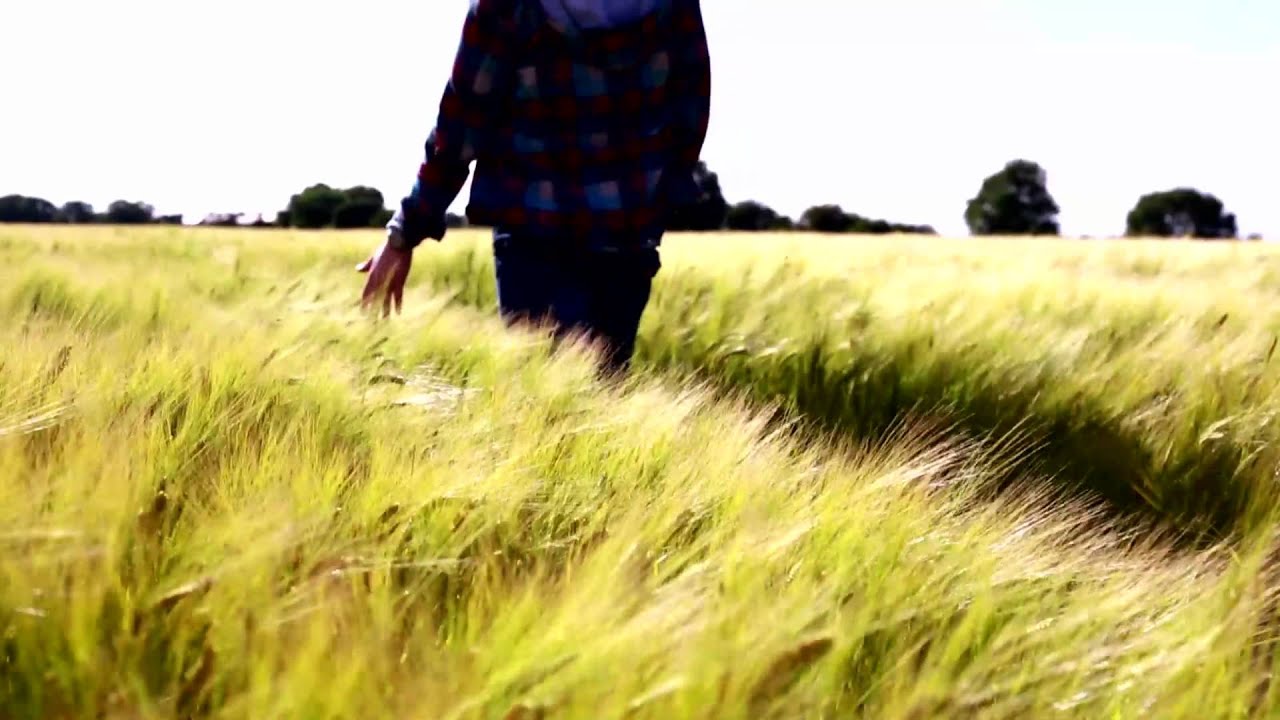 Ciaran Plummer - The Hits the Scrapes (cover) - YouTube