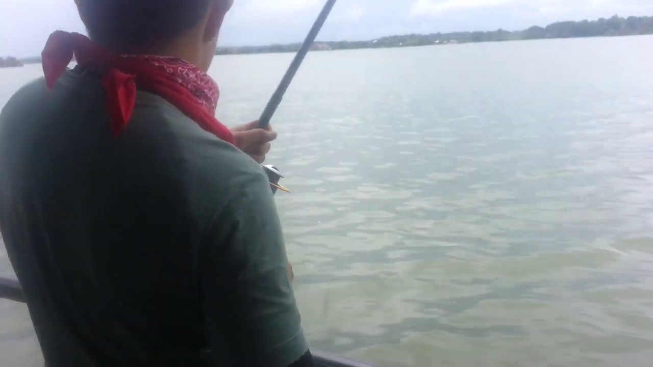 CARP FISHING @ SAN RAFAEL RESERVOIR PHILIPPINES - YouTube