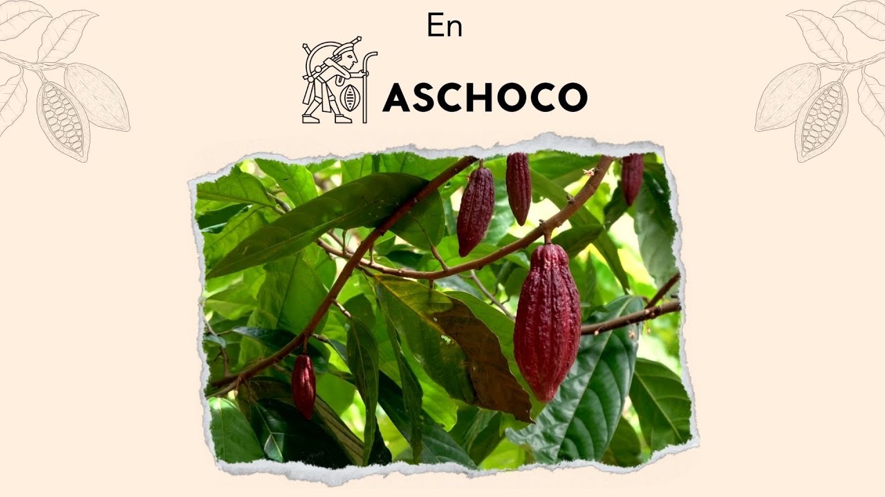 88 Aniversario de la ASCHOCO - YouTube