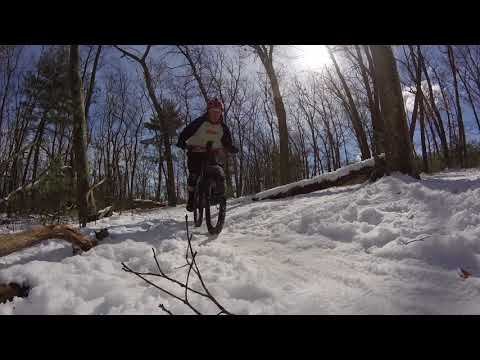 Landlocked Forest Riding Late Winter 2018