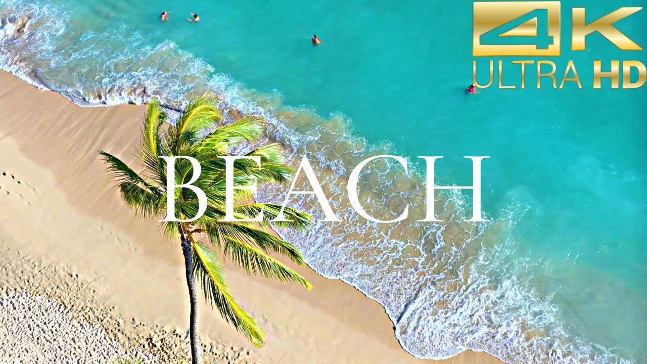 4K Tropical Beach Ambience With Ocean Sounds For Relaxation & Holiday ...