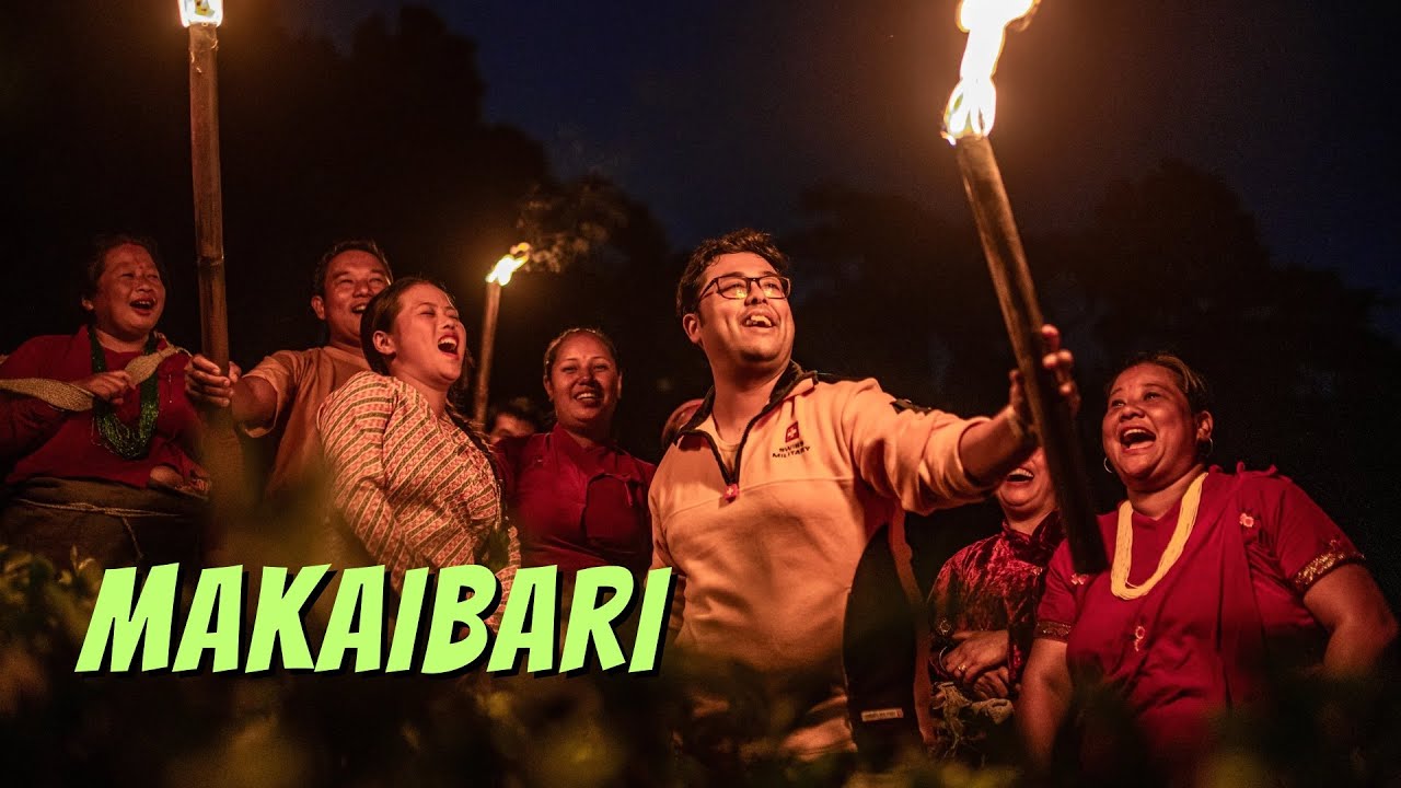 Makaibari Tea Estate experience the MAGIC of Moonlight Tea Plucking ...