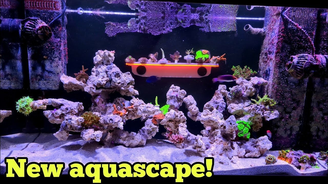 Re-scaping my reef aquarium. - YouTube
