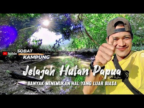 JELAJAH HUTAN RIMBA PAPUA INDAH - YouTube