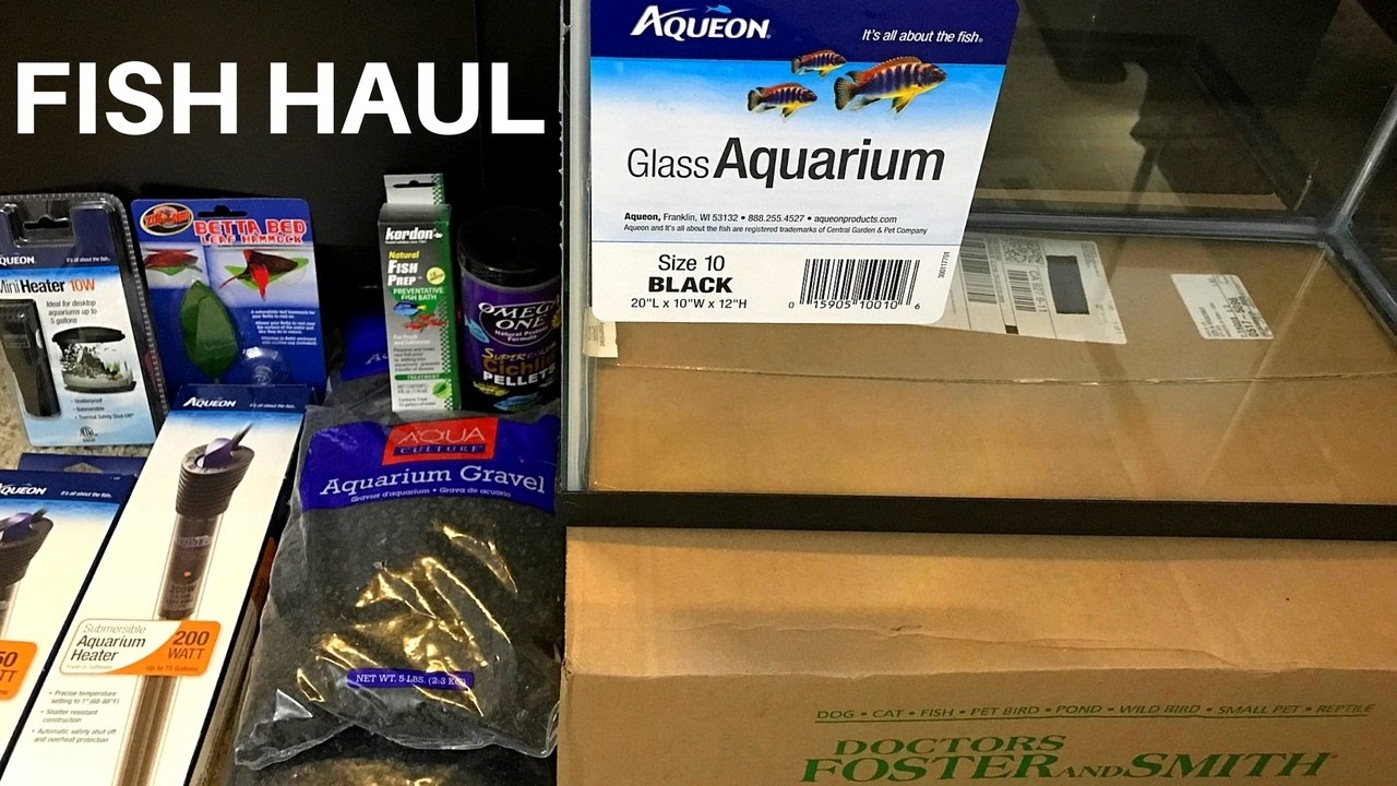 HUGE FISH HAUL - YouTube