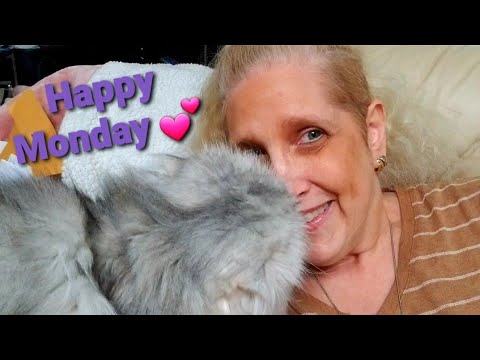 Happy Monday!Thank You All For Voting Everyday! - YouTube