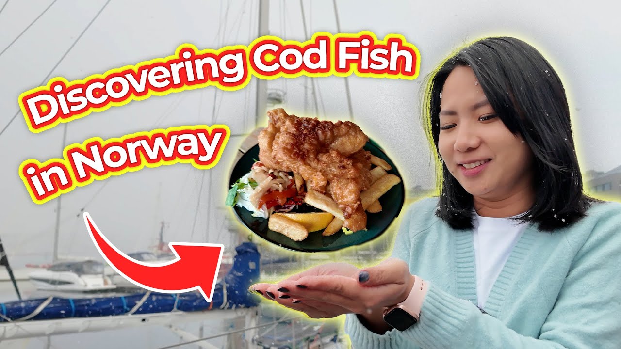 ENJOYING FRESH COD FISH IN NORWAY | BEST SEAFOOD PLACE IN THE WORLD ...