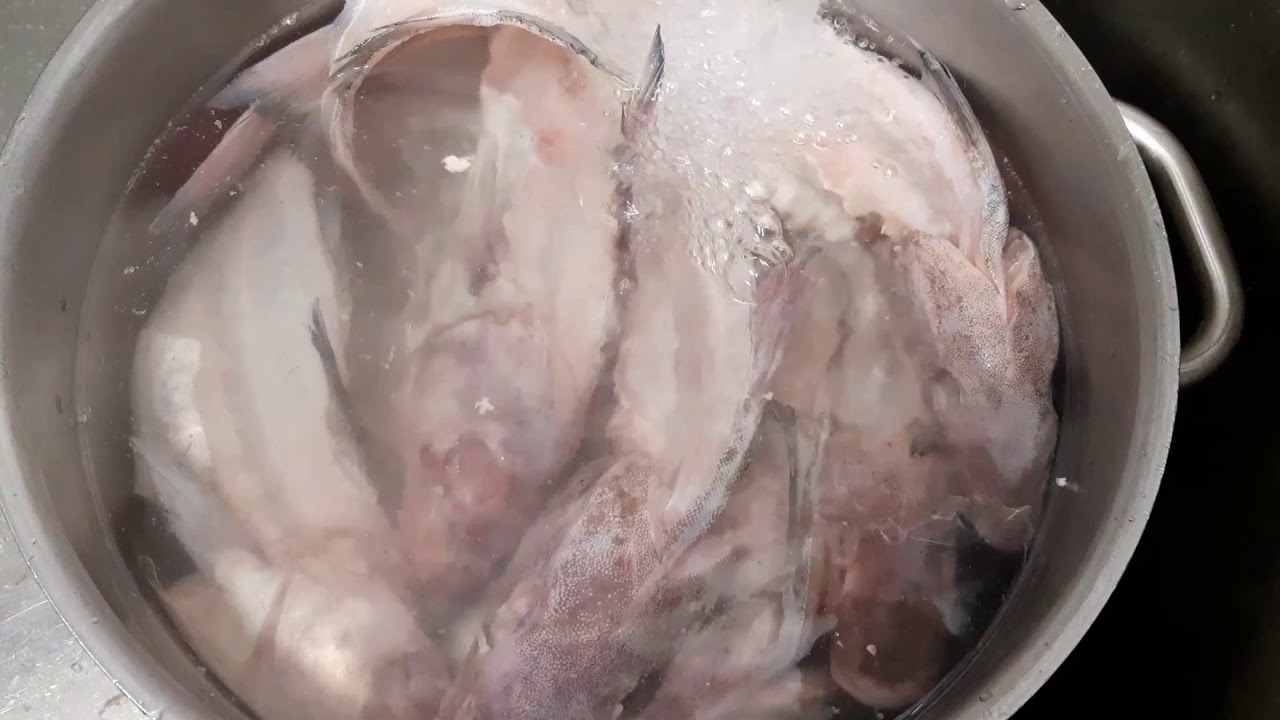 Dégorger Tutoriel - YouTube