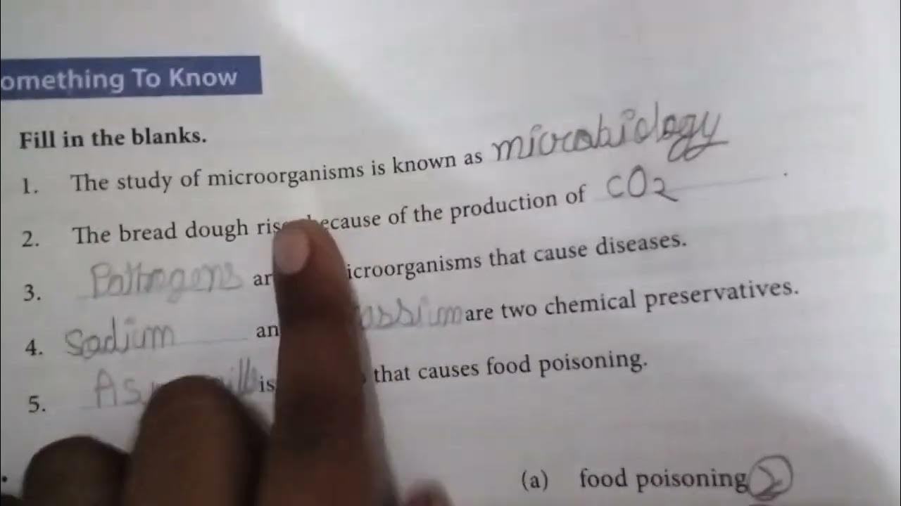 DAV Class 8 Science Chapter 2 Full Solution YouTube dav-class-8-science-chapter-2-full-solution-youtube