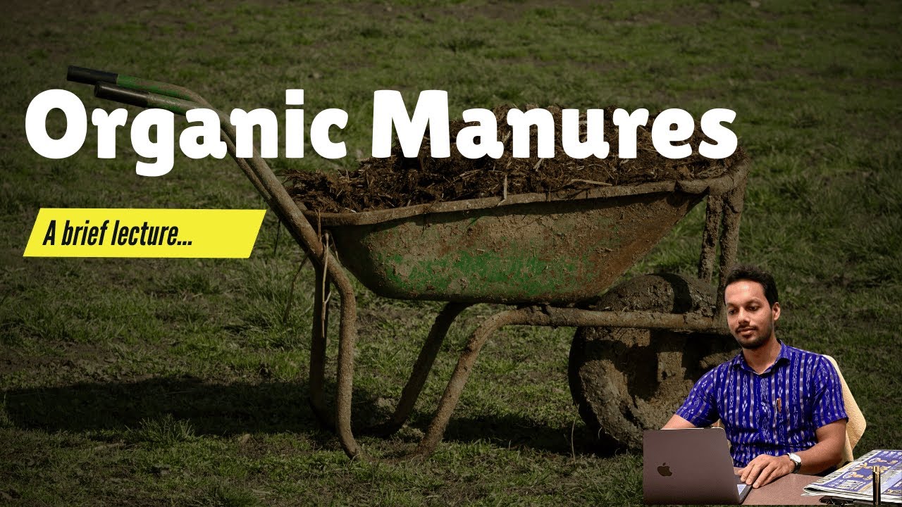 Organic manure | Bulky and concentrated organic manure | Soil ...