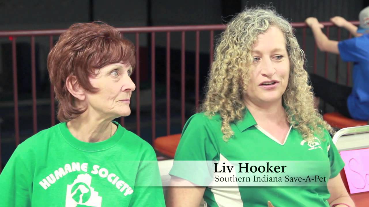 Rover Rescue - How Rescue Works - YouTube