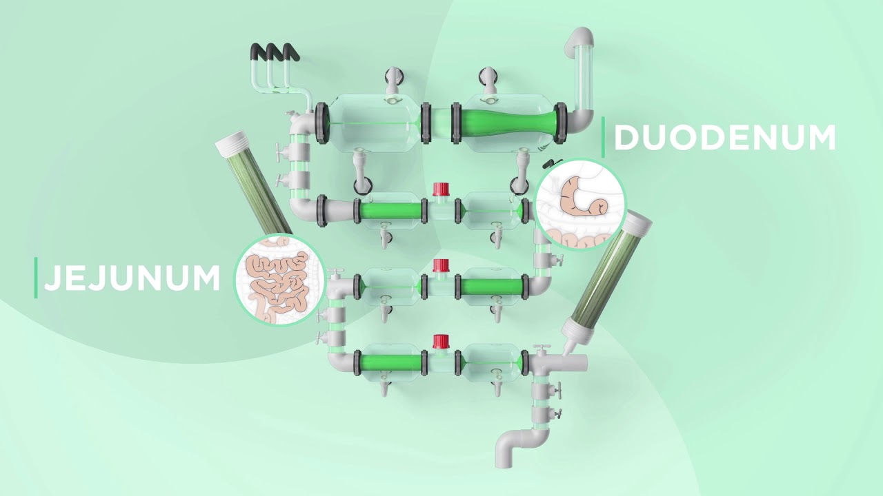 TIM Systems - Pharma - YouTube