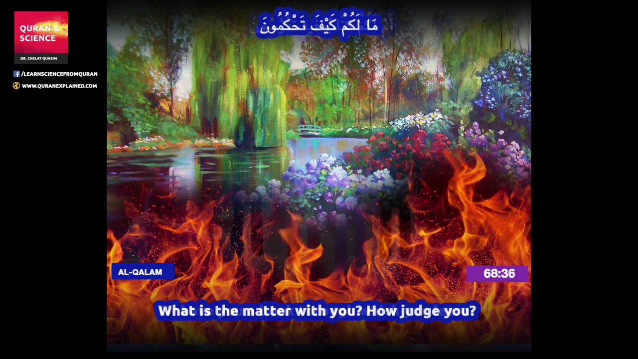 Quran English translation Chapter 68 31 68 40 Surah Al Qalam