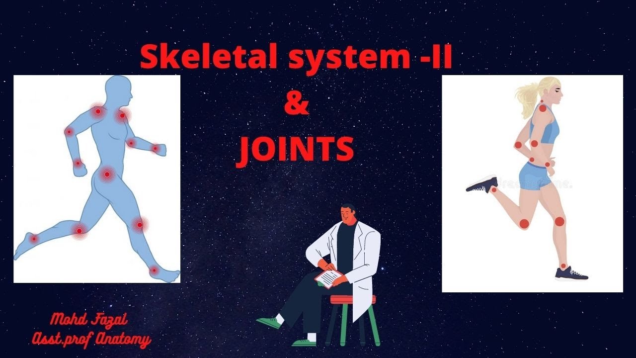 skeletal system part 2 and classification of joints MBBS - YouTube