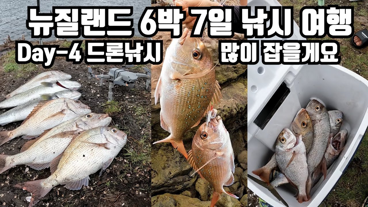 뉴질랜드 캠핑카 타고 낚시 여행 Day 4 조과 끝판왕 드론 낚시 Youtube