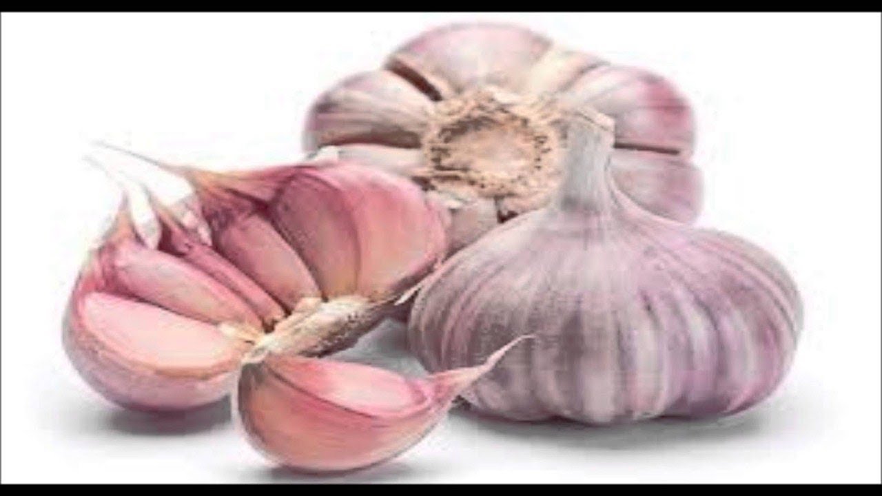 Medicinal Effects Of Garlic - Garlic Benefits And Side Effects - YouTube