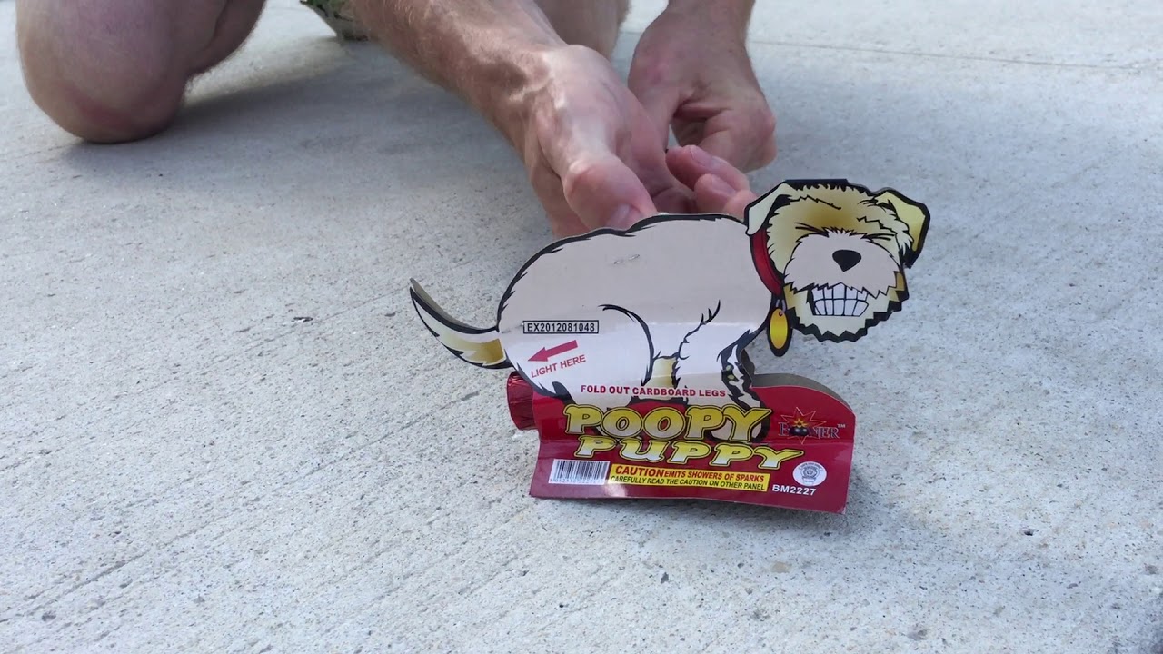 POOPY PUPPY - YouTube