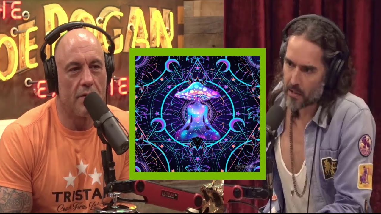 Joe Rogan: psychedelic effect - YouTube