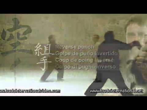 Best Karate Kumite. George Bierman - YouTube