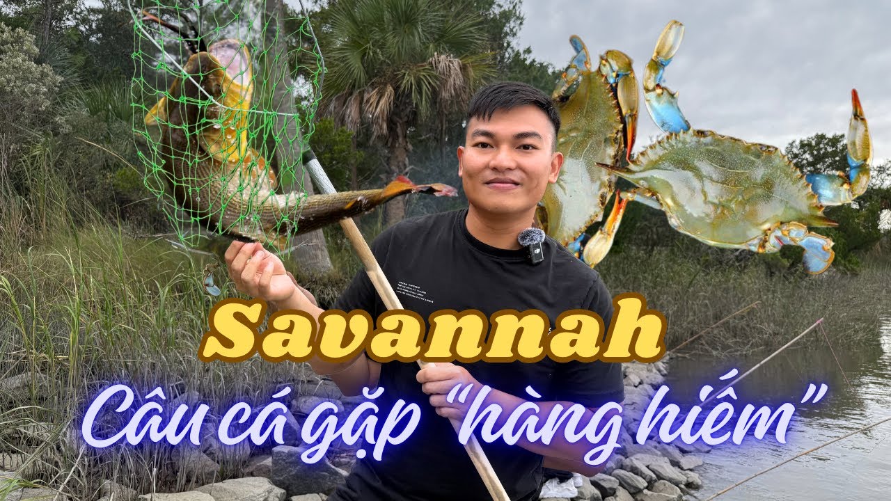 Dã Ngoại Cuối Tuần: Câu Cá, Câu Cua Tại Savannah, Georgia - Trải Nghiệm ...